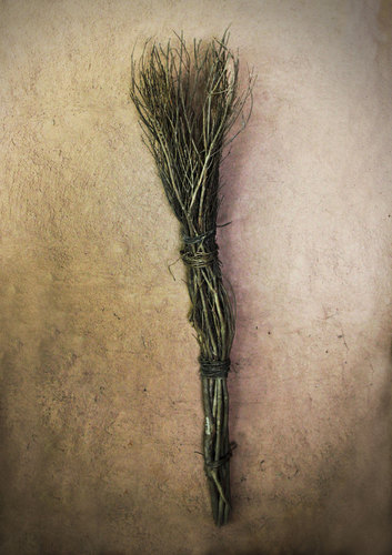 Bolaththa | Traditional Besom Broom in Sri Lanka | Dilmah Conservation