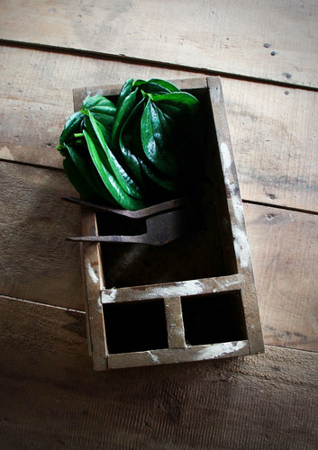 Bulath Pettiya | Traditional Betel Leaf Box in Sri Lanka | Dilmah ...