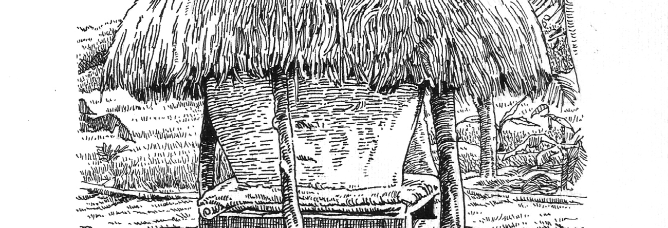 Vee Bissa | Traditional Rice Storage in Sri Lanka | Dilmah Conservation