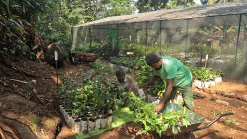 News from Dilmah Conservation | Sustainable Development, Nature and ...
