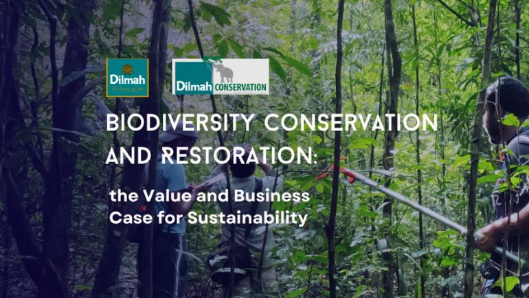 Biodiversity Conservation and Restoration the Value and Business Case ...
