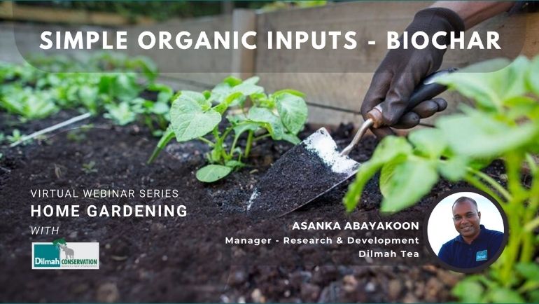 Simple Organic Inputs: Biochar