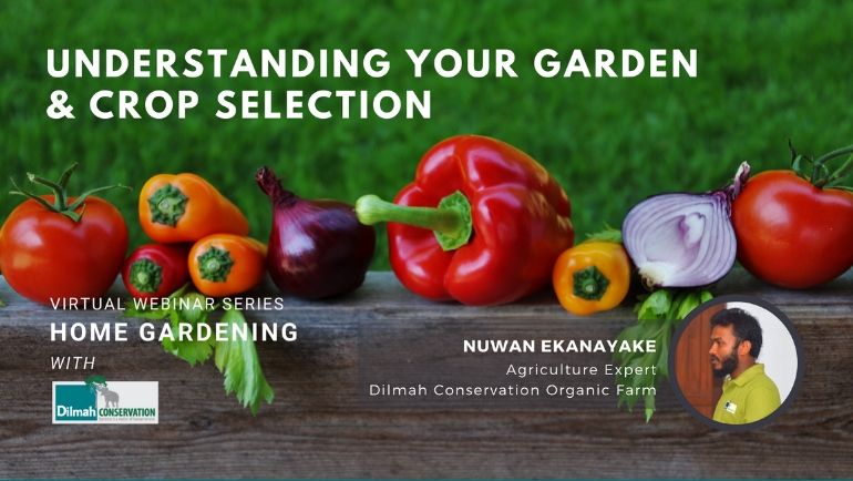 A Webinar on Understanding your Garden & Crop Selection